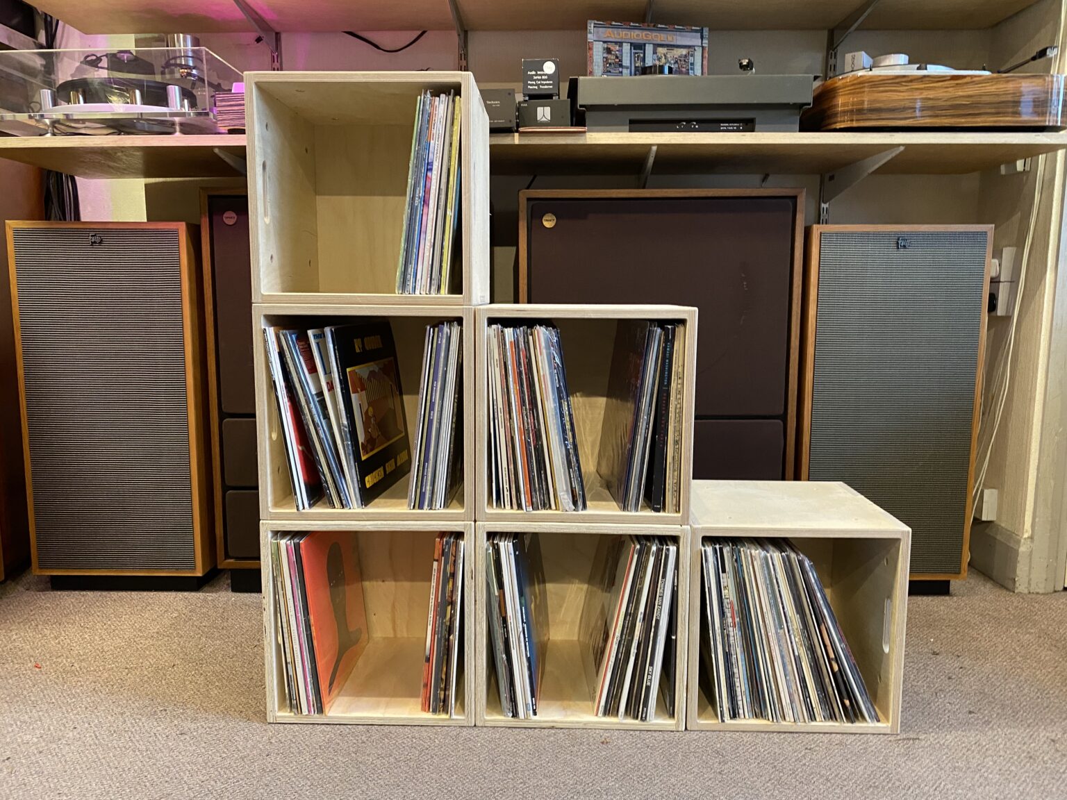 Audio Gold Vinyl Storage - U-Build
